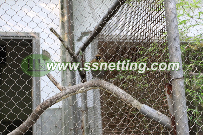 3/64" x 1" x1" of stainless steel wire rope bird netting, bird aviary ...